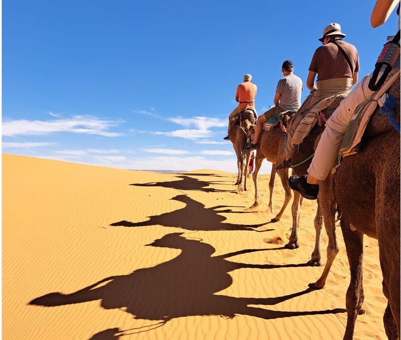 Navigating the Digital Landscape: Five Crucial Roles of Successful IT ...